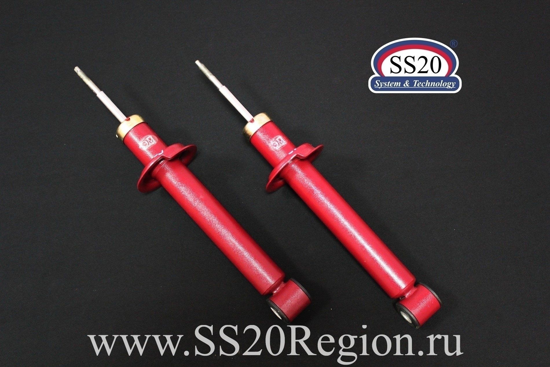 SS20 ЭЛАСТОМАГ- Амортизаторы задние для ВАЗ 2110-2112 | SS20REGION.RU