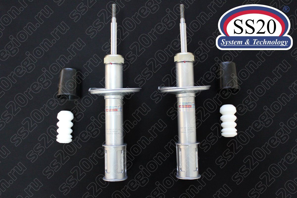 SS20 СТАНДАРТ - Стойки передние для RENAULT SANDERO Stepway | SS20REGION.RU